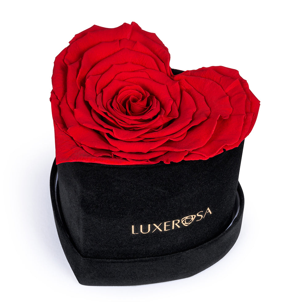 Black Velvet Suede, Small, Venus Heart Shaped, Eternity Rose Box With